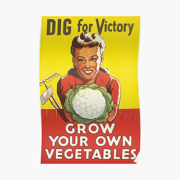 "Vintage Dig For Victory Grow Your Own Vegetables WW2 Poster" Poster ...