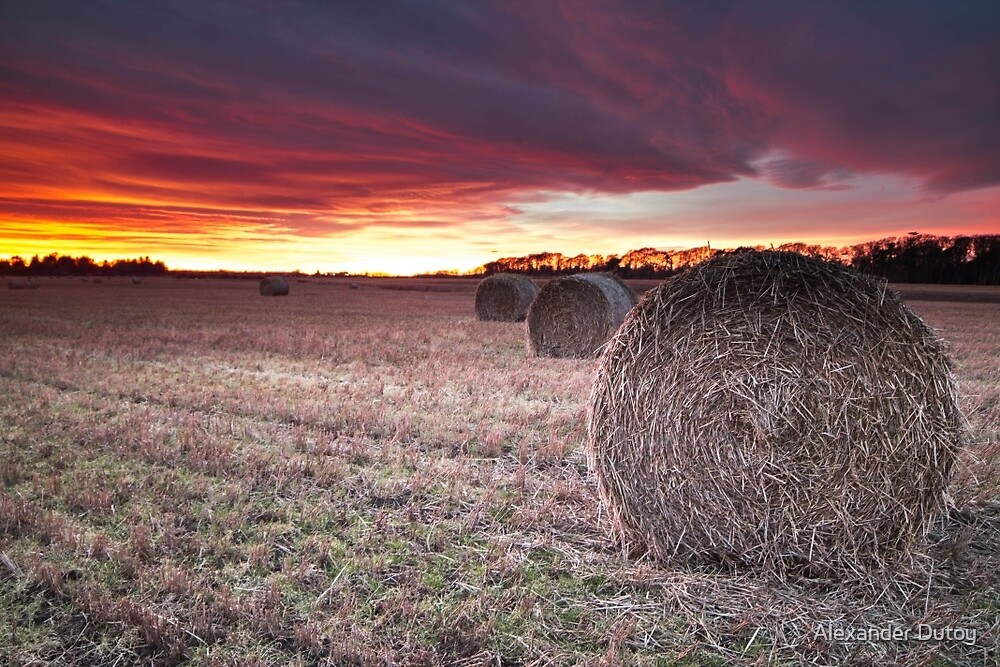 "Hay Bales Sunset" by Alexander Dutoy | Redbubble