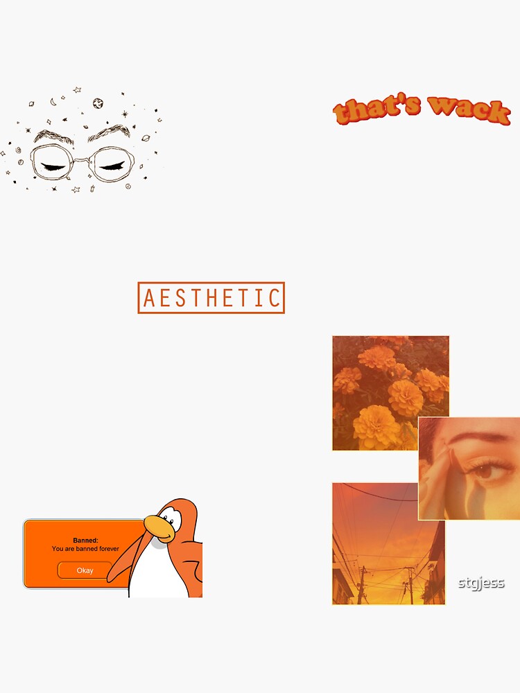"orange aesthetic sticker pack" Sticker by stgjess | Redbubble