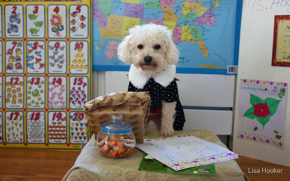 "Dog Teacher" by Lisa Hooker | Redbubble