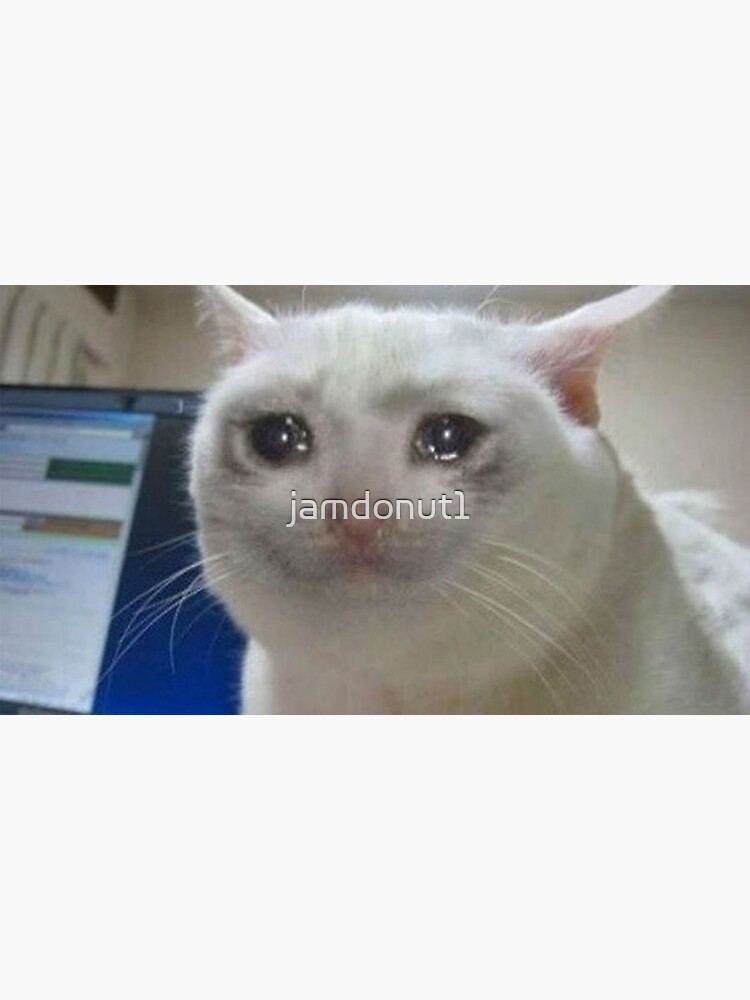 "Crying Cat Meme" Art Print for Sale by jamdonut1 | Redbubble