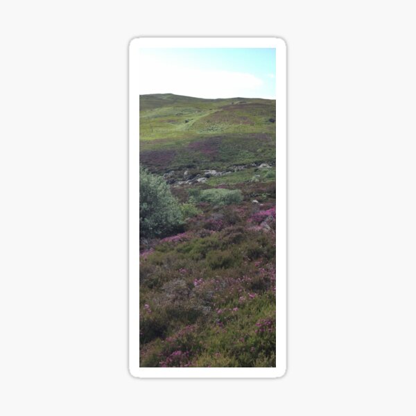 "Scottish highlands" Sticker by pinky7x | Redbubble