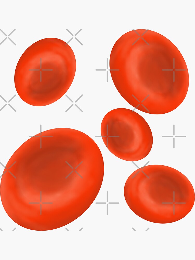 "Red Blood Cells Pattern" Sticker for Sale by BundaBear | Redbubble