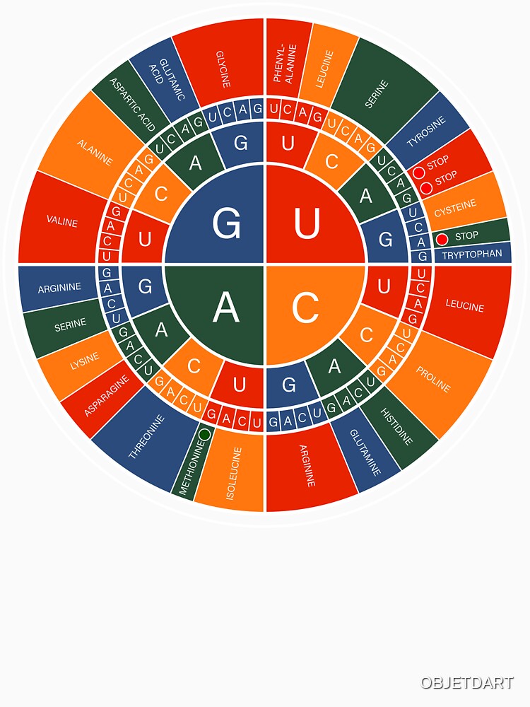 "mRNA to AMINO ACID CODON WHEEL" T-shirt for Sale by OBJETDART ...