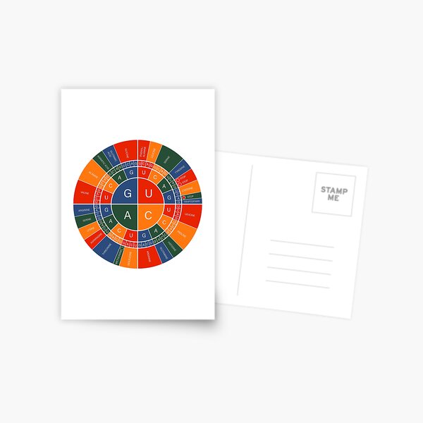 "mRNA to AMINO ACID CODON WHEEL" Postcard by OBJETDART | Redbubble