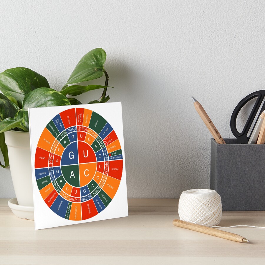 "mRNA to AMINO ACID CODON WHEEL" Art Board Print by OBJETDART | Redbubble