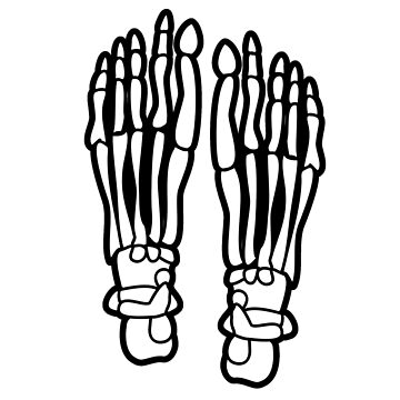 "Skeleton Feet" Art Board Print for Sale by MacSquiddles | Redbubble