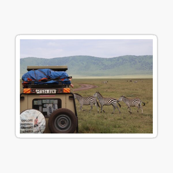 "African Safari " Sticker for Sale by spencerfulton | Redbubble