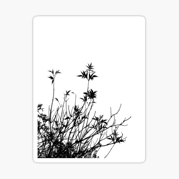 "BRANCHES" Sticker for Sale by aCVPia | Redbubble