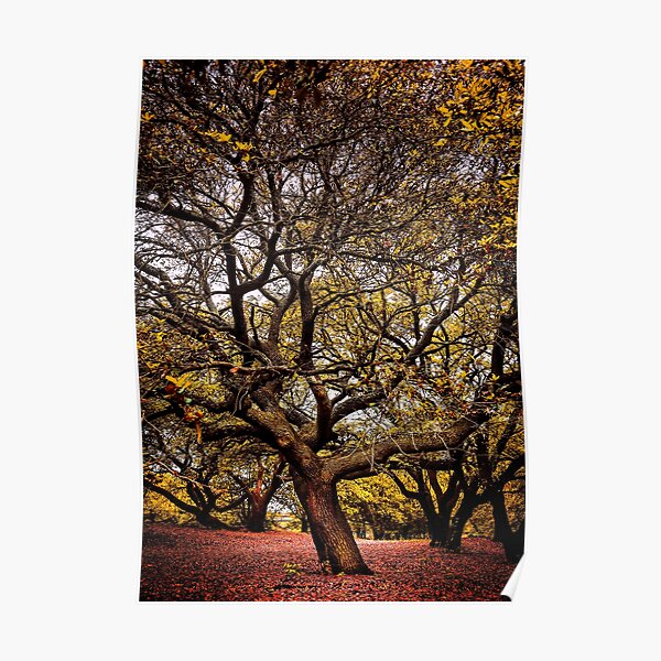 "Vibrance" Poster for Sale by Anthonypresley | Redbubble