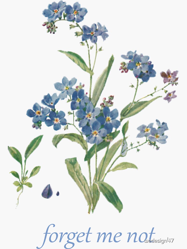"Forget me not" Sticker by wedesign47 | Redbubble