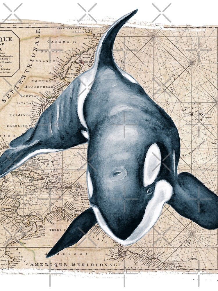 "Orca Whale Map" A-Line Dress for Sale by eveystudios | Redbubble