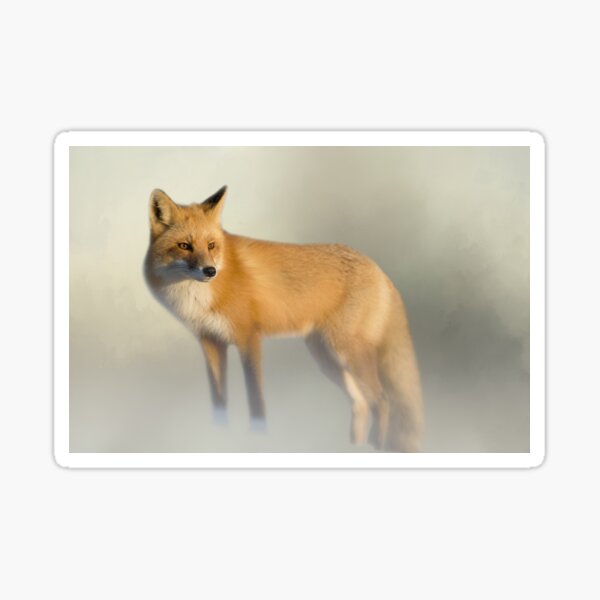 "Icy Fox" Sticker for Sale by fineart2017 | Redbubble