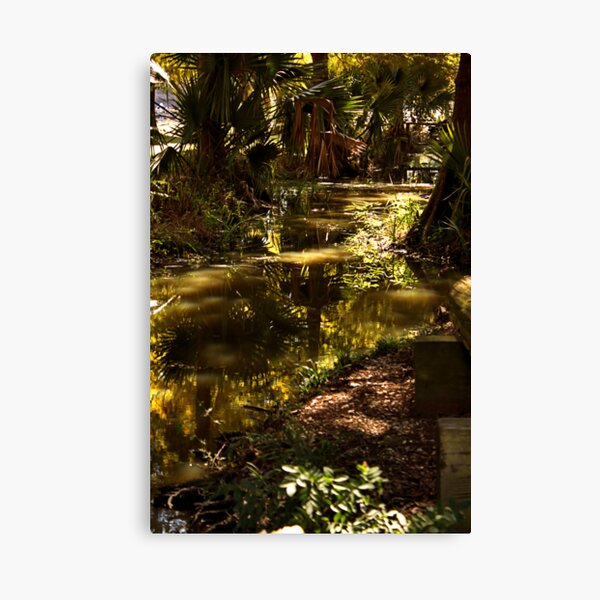 Louisiana Swamp Canvas Prints | Redbubble