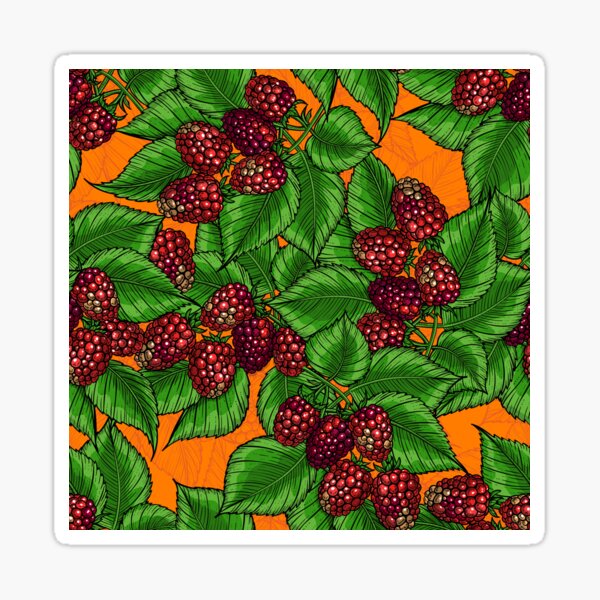 "Raspberry" Sticker for Sale by katerinamk | Redbubble