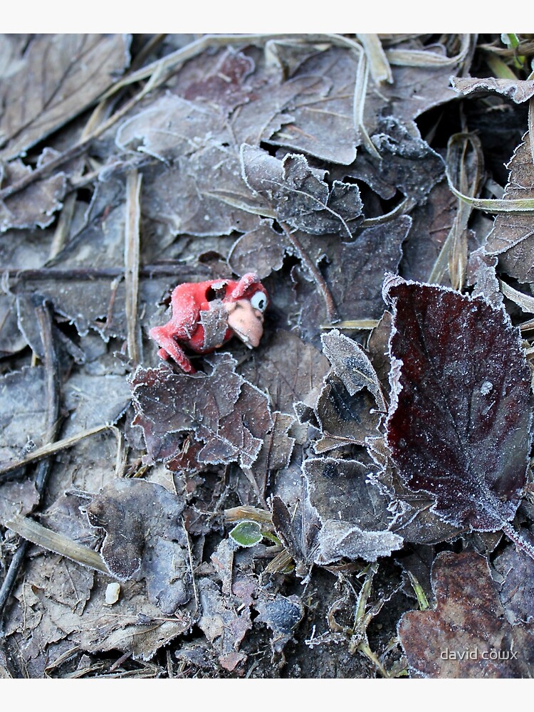 "Brass monkey weather" Photographic Print for Sale by davidcowx | Redbubble