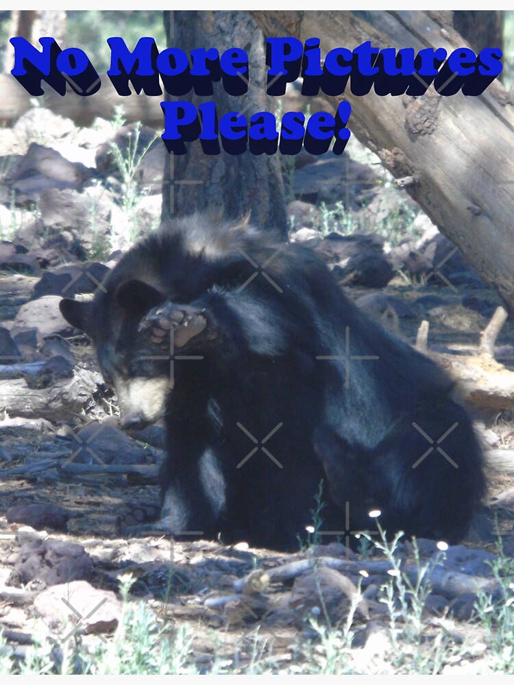 "No More Pictures Please" Sticker for Sale by ChadKroll | Redbubble