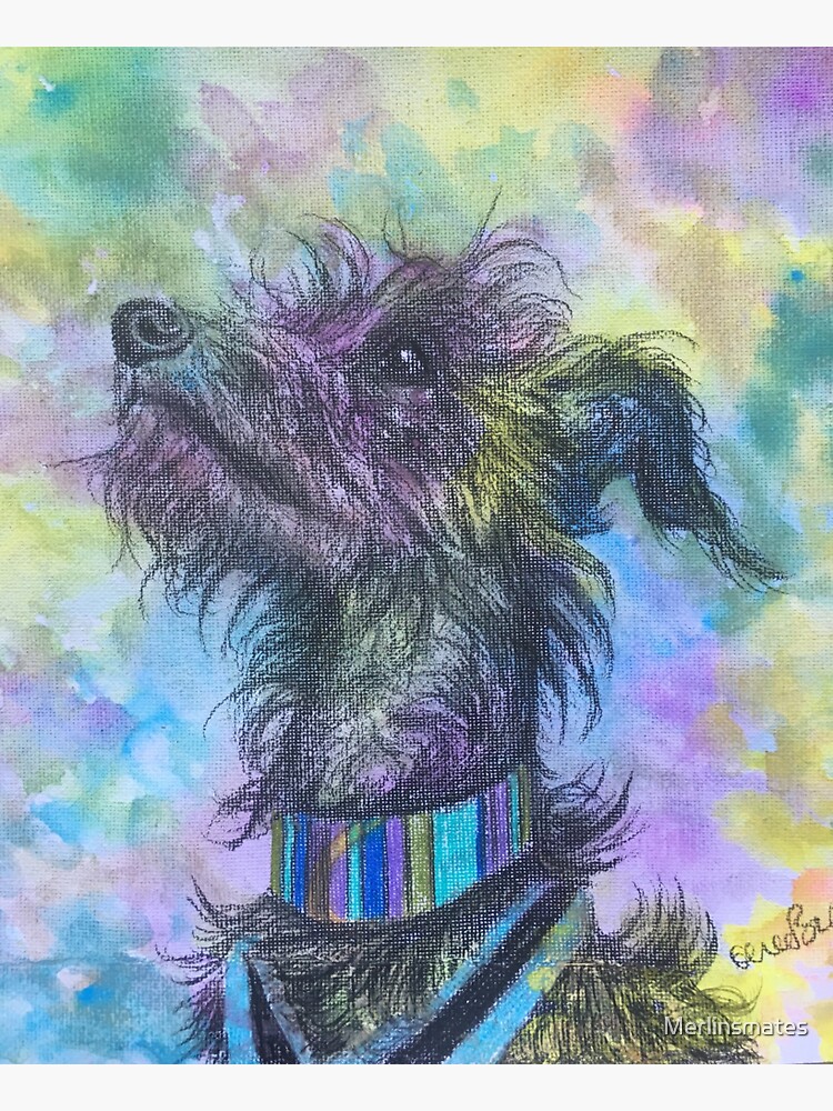 "Rainbow scruffy Lurcher " Sticker for Sale by Merlinsmates | Redbubble