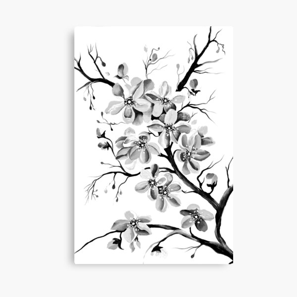 Japanese Sakura Cherry Tree Flowers In Black And White Canvas Print