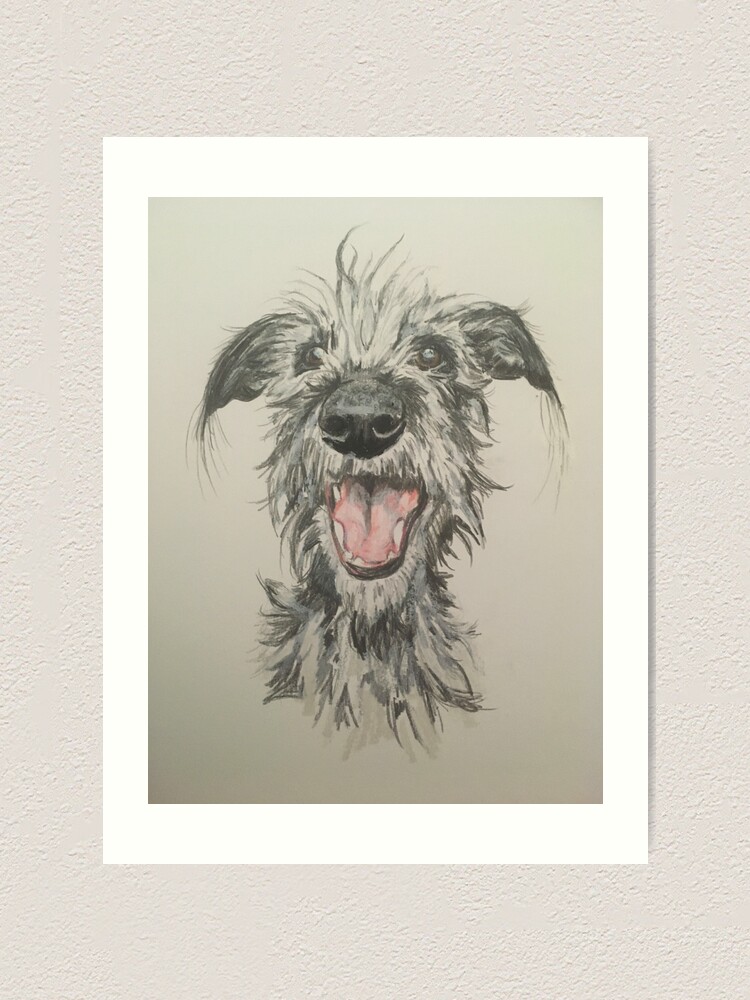 "Scruffy Lurcher " Art Print for Sale by Merlinsmates | Redbubble