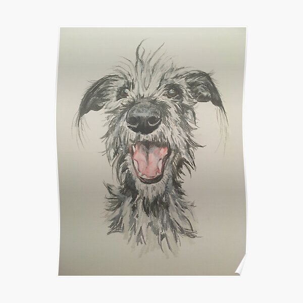 "Scruffy Lurcher " Poster by Merlinsmates | Redbubble