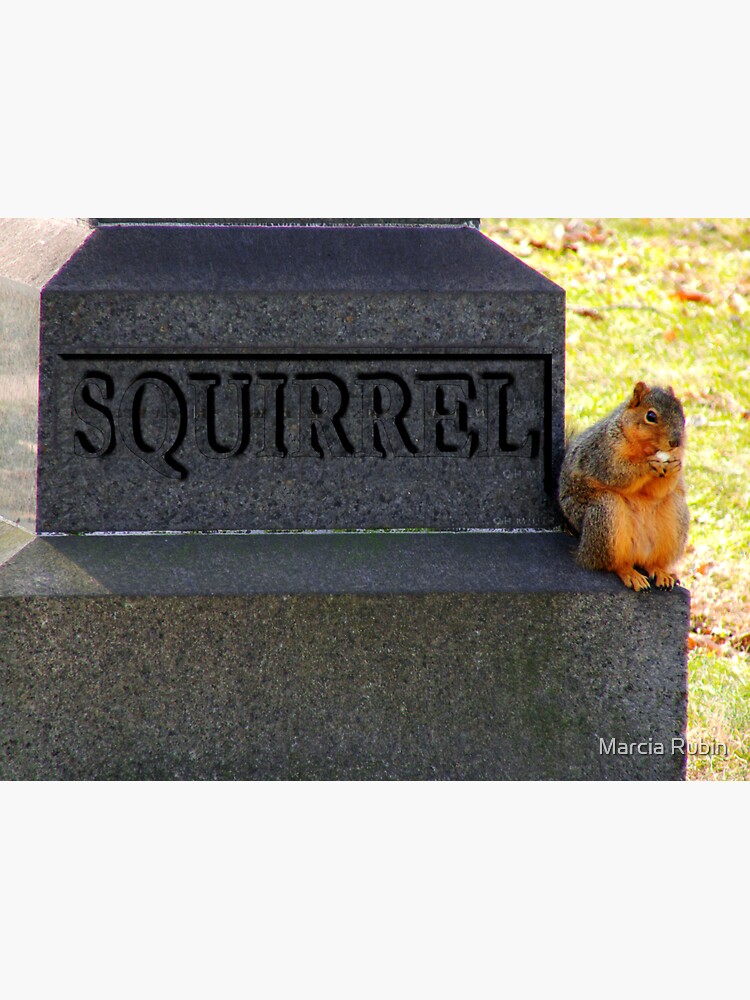 "RIP Squirrel " Poster by OutdoorAddix | Redbubble