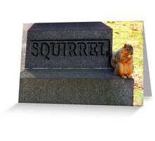 "RIP Squirrel " by Marcia Rubin | Redbubble