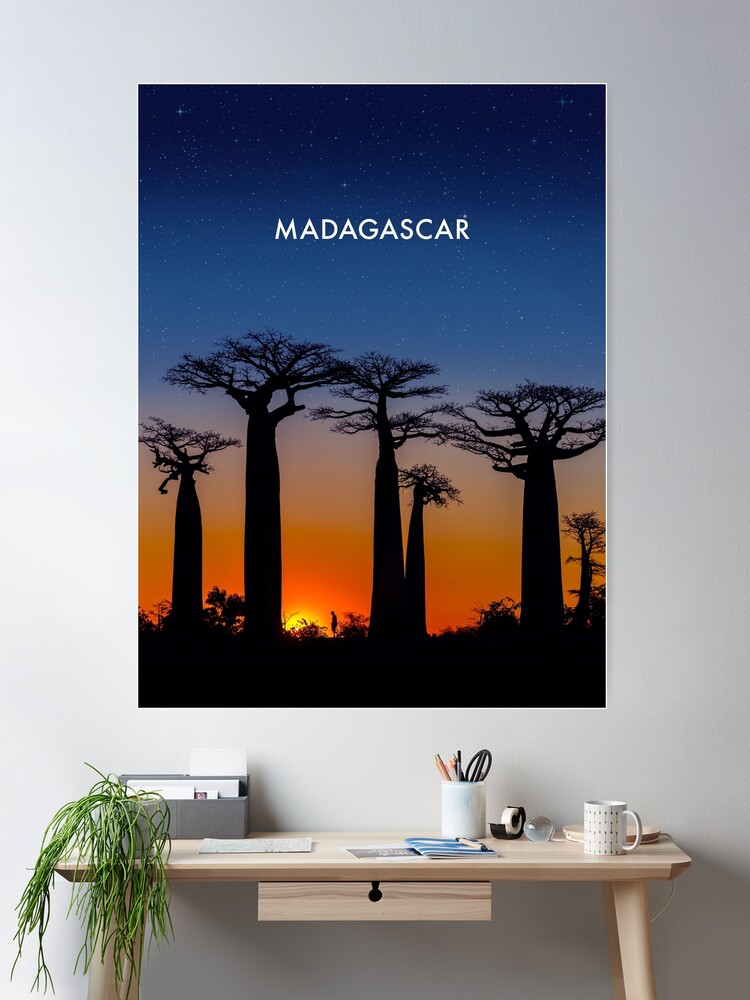 Affiche De Voyage De Madagascar