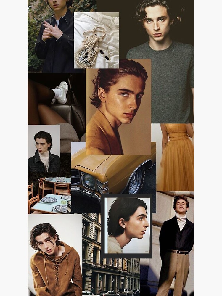 "Timothee Chalamet: Collage" Sticker for Sale by AnnoyingJuice | Redbubble