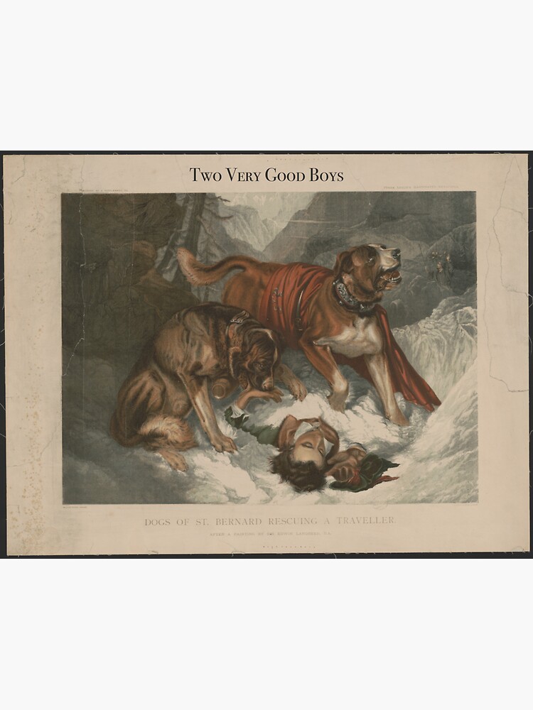 "Very Good Boys" Sticker for Sale by picsoncotton | Redbubble