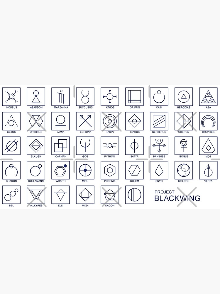 "Project Blackwing" Canvas Print for Sale by SHappe | Redbubble