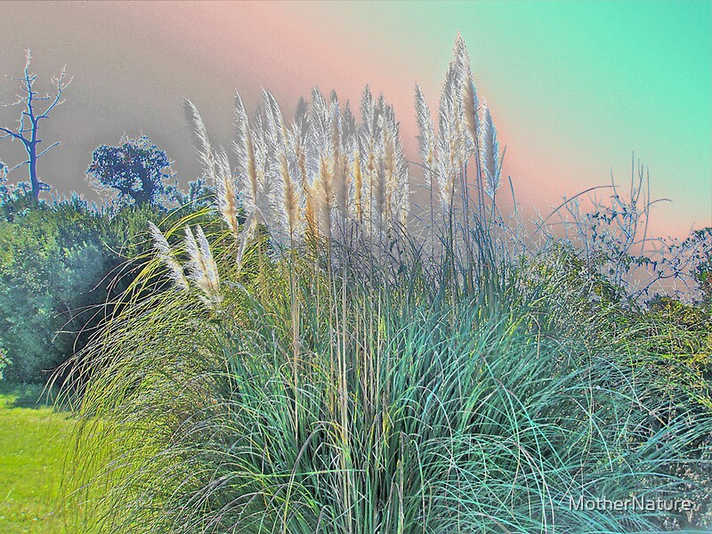 "Pampas Grass in Pastel Colors" by MotherNature | Redbubble