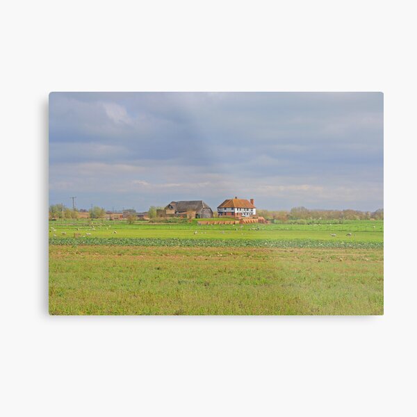 Tonge Gifts & Merchandise | Redbubble