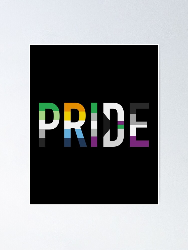 "Pride, Various Queer Flags 2" Poster by fc13empire | Redbubble