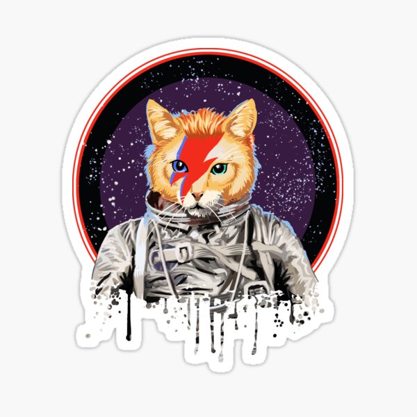 "StarCat" Sticker for Sale by RobWoodrum | Redbubble