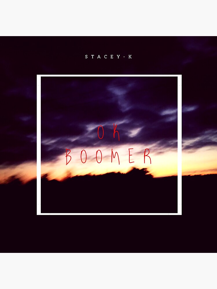 "OK Boomer" Sticker for Sale by Stacey-K | Redbubble