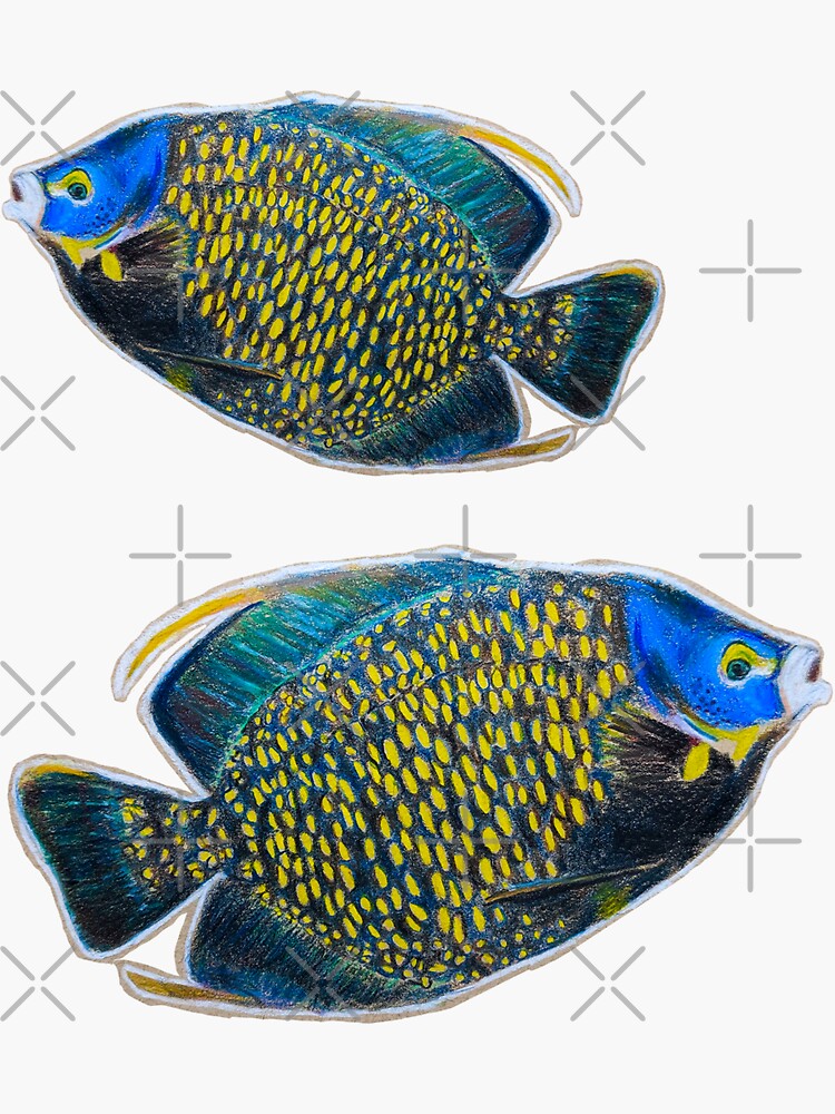 "French Angelfish" Sticker by MariaWorkman | Redbubble