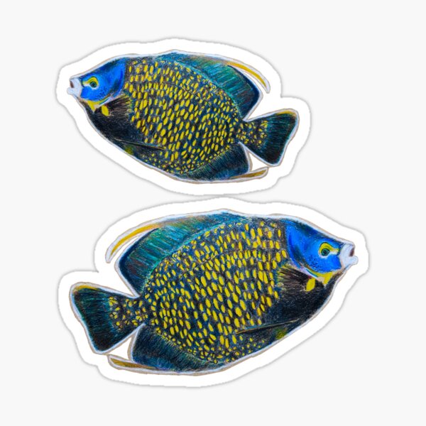 "French Angelfish" Sticker by MariaWorkman | Redbubble