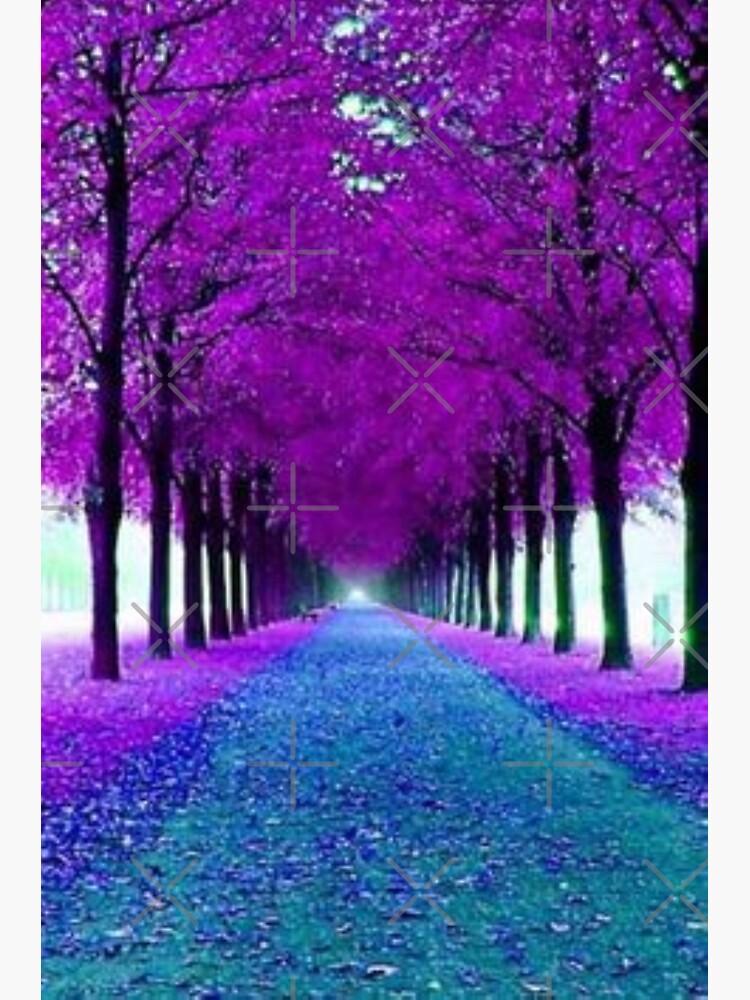 "Pathway" Poster by Billskarsgard | Redbubble