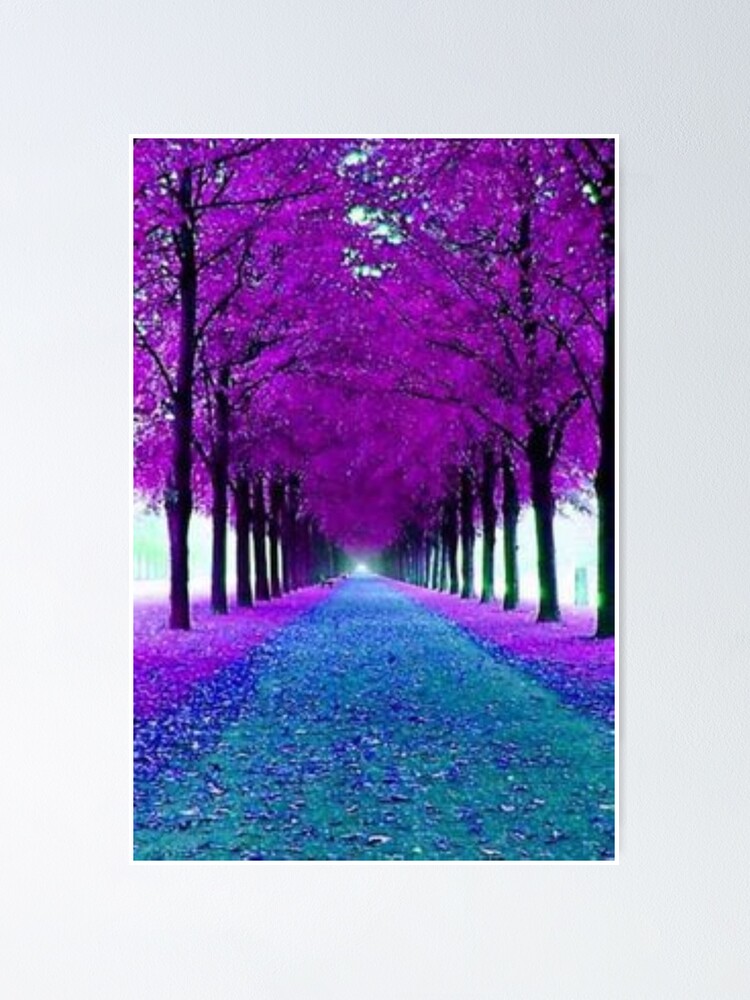 "Pathway" Poster by Billskarsgard | Redbubble
