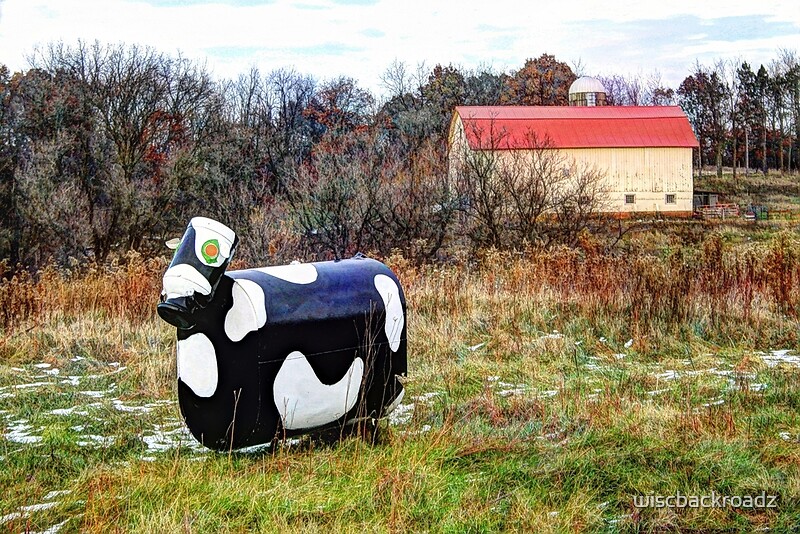 ""A Clever Cow"" by wiscbackroadz | Redbubble