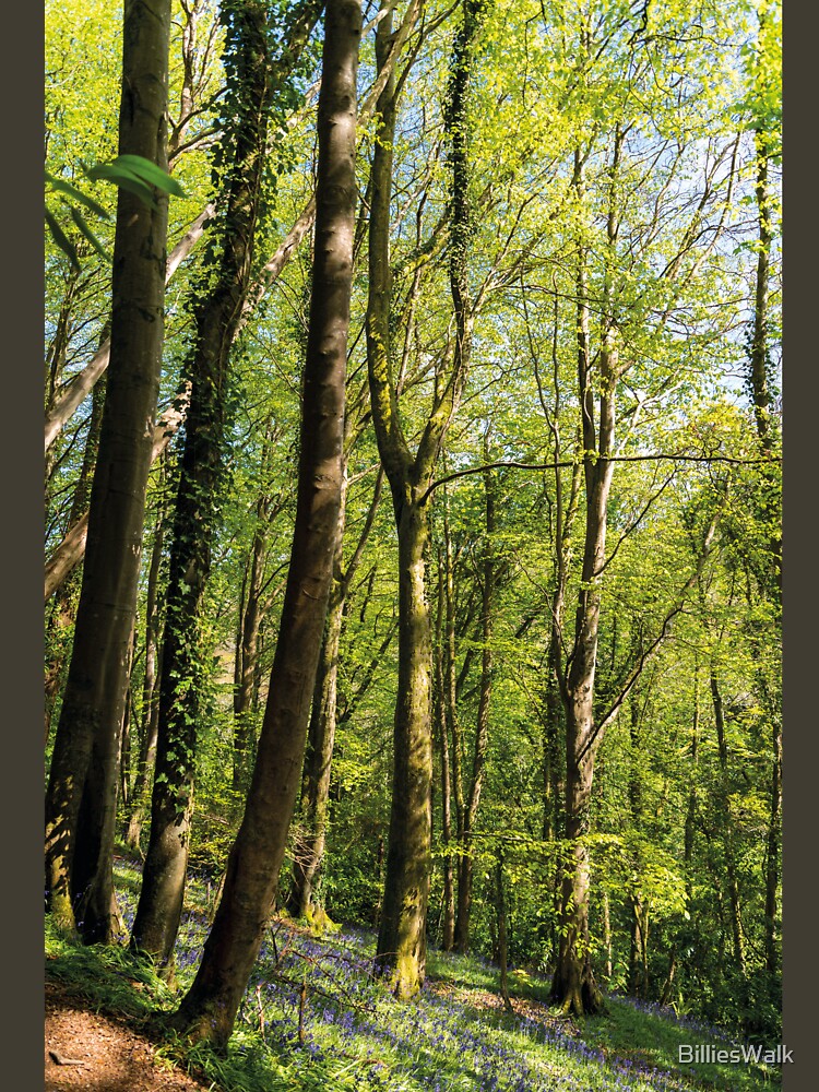 "Illogan Woods, Cornwall" T-shirt by BilliesWalk | Redbubble