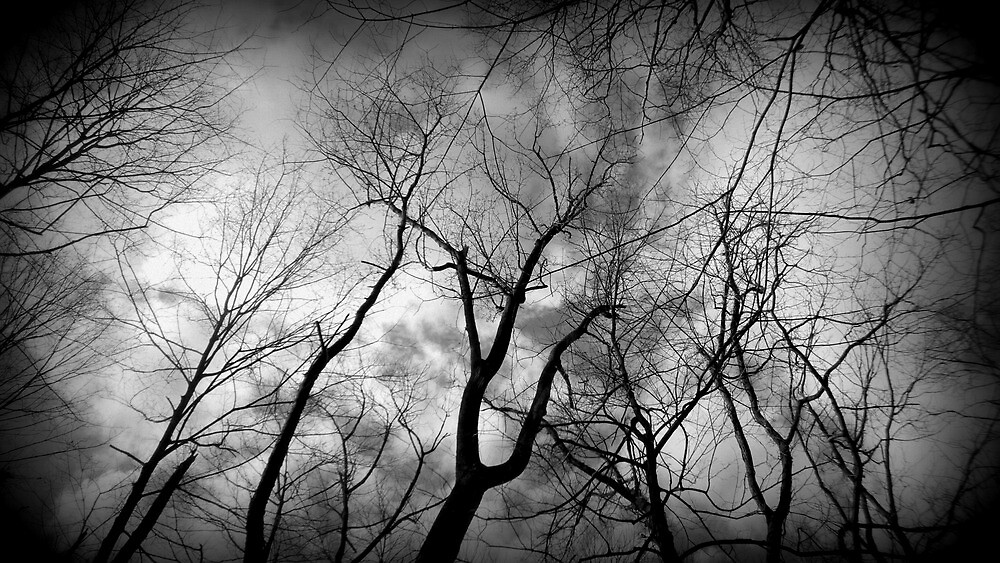 "One creepy tree line" by Megan Daugherty | Redbubble