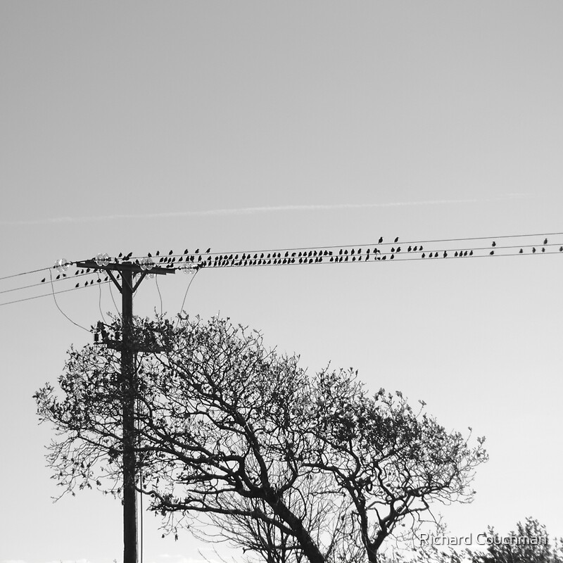 Assembly Line “" by Richard Couchman | Redbubble