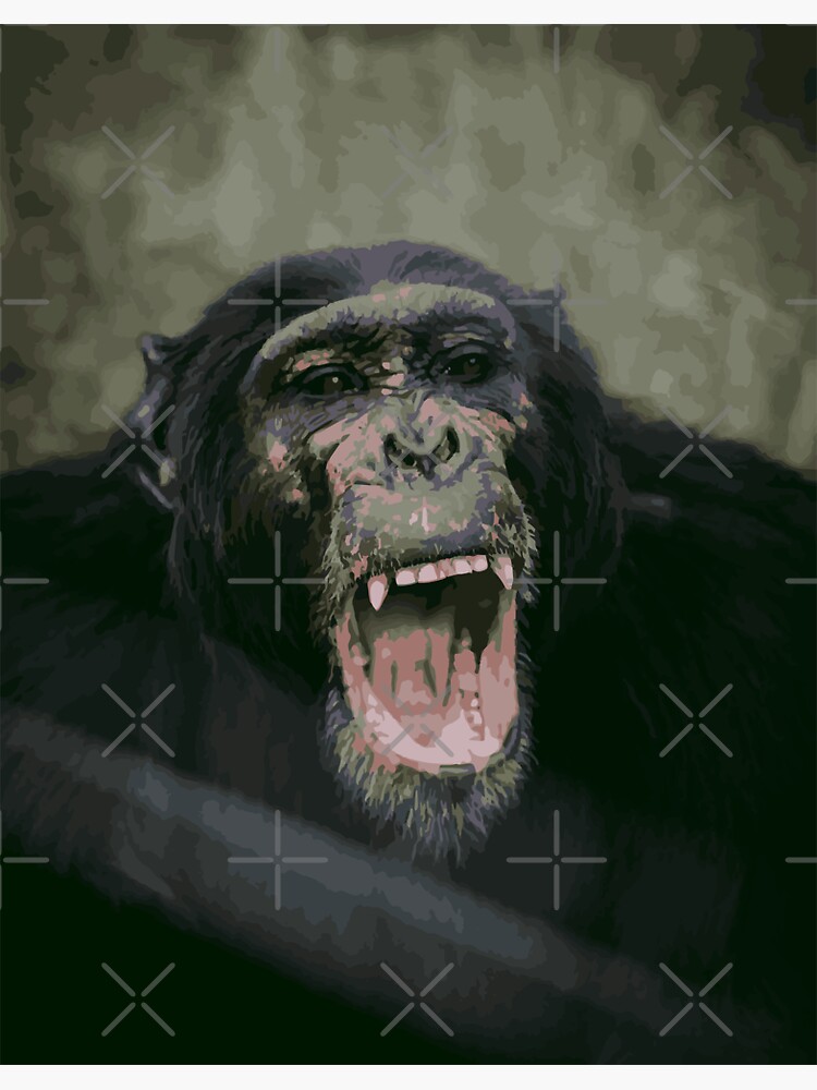 "Funny Monkey Laughing" Sticker for Sale by AnimalCreative | Redbubble