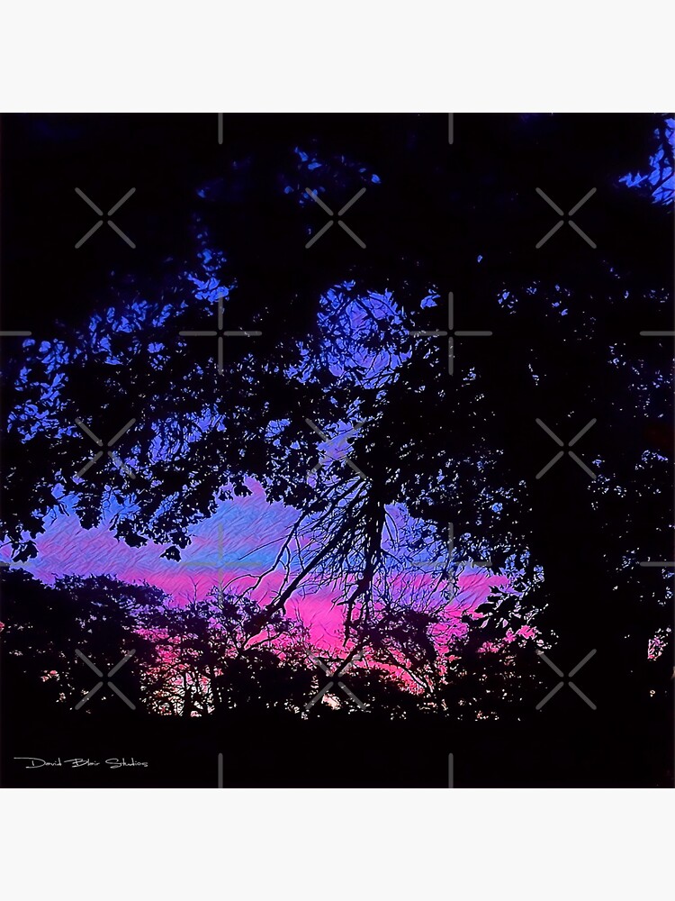 "Texas Fall Sunset - Graphic" Sticker for Sale by davidbstudios | Redbubble