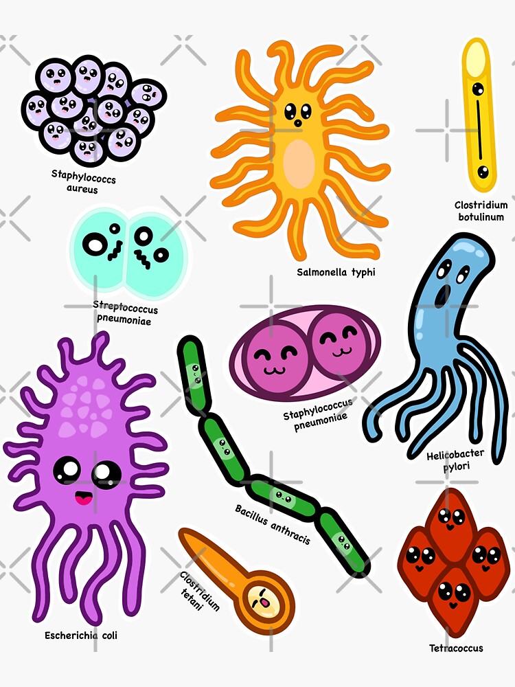 "Kawaii Types Of Bacteria" Sticker for Sale by BundaBear | Redbubble