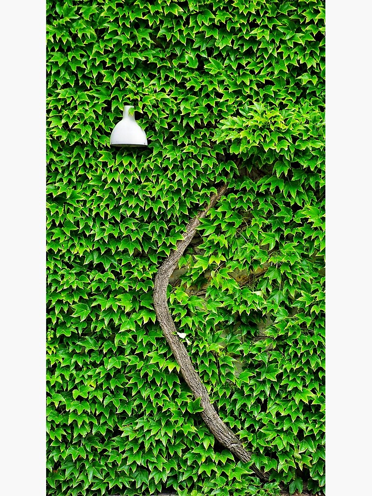 "Street light" Poster by mane81 | Redbubble