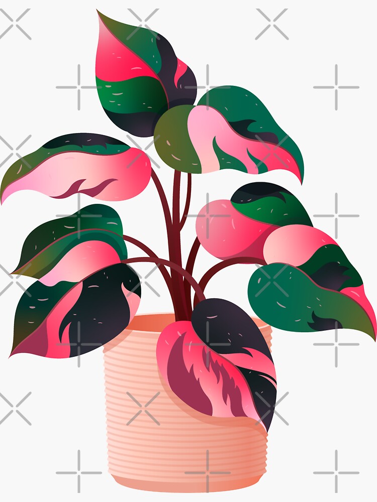 "Philodendron Pink Princess PPP" Sticker for Sale by studioplantlife ...