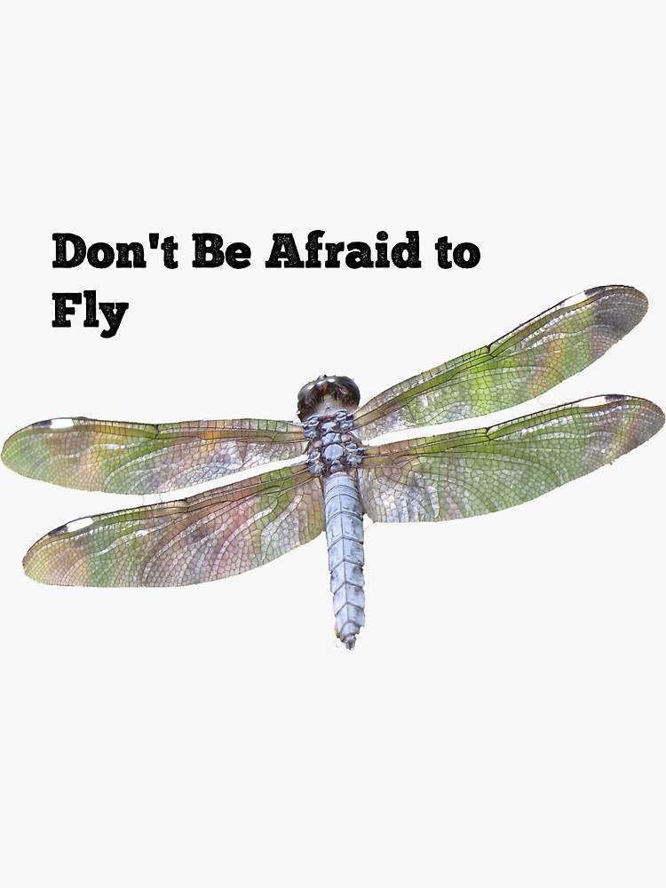 "Don't Be Afraid to Fly Dragonfly" Sticker by GeographerDude | Redbubble